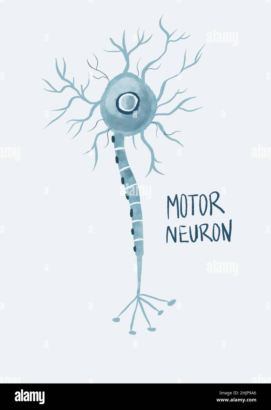 Human cell related illustration Stock Photo - Alamy