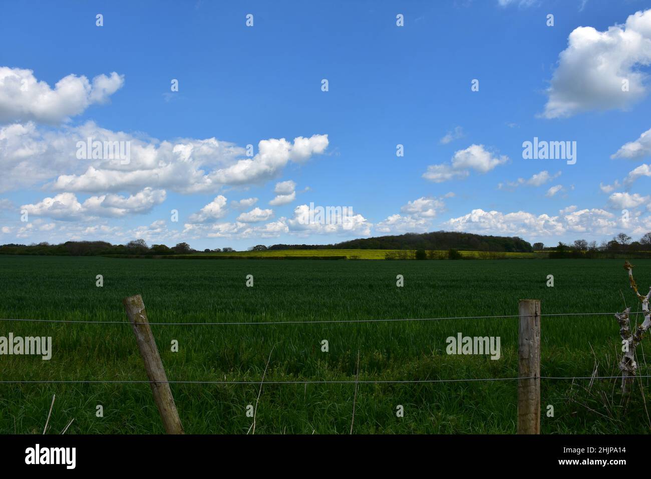 Gorgeous spring day in England with blue skies over crop fields and ...