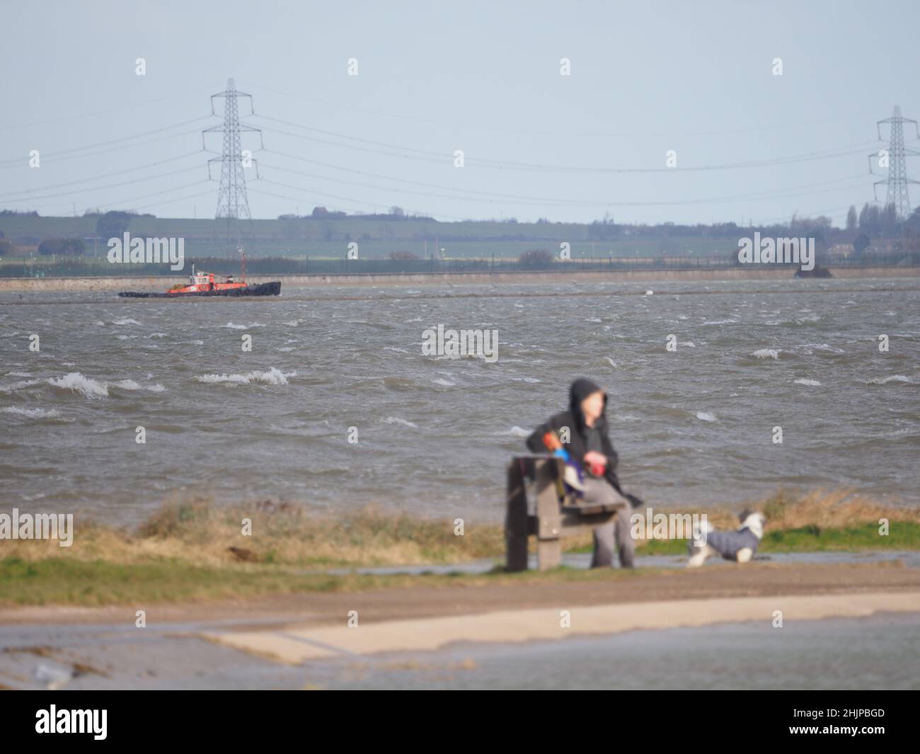 Lower Halstow, Kent, UK. 31st Jan, 2022. Pictures of the barge that ...
