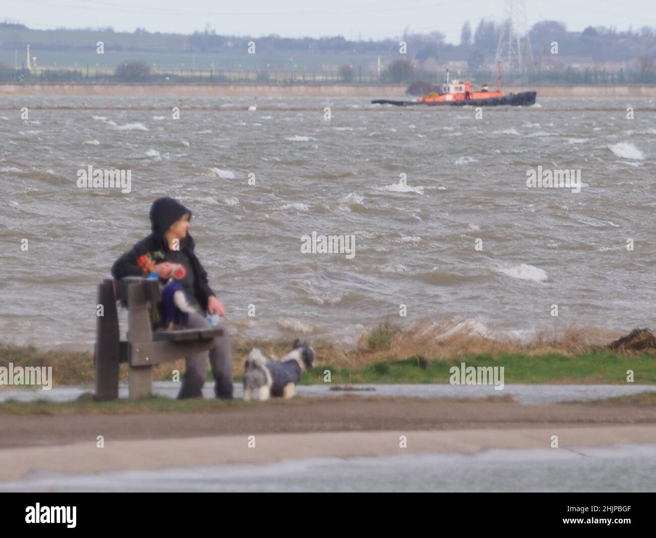Lower Halstow, Kent, UK. 31st Jan, 2022. Pictures of the barge that ...