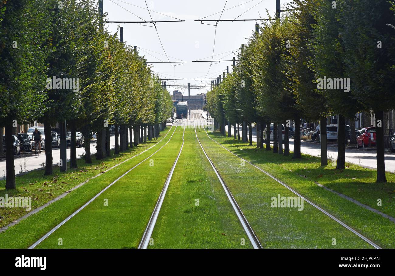 Median of a dual carriageway hi-res stock photography and images - Alamy