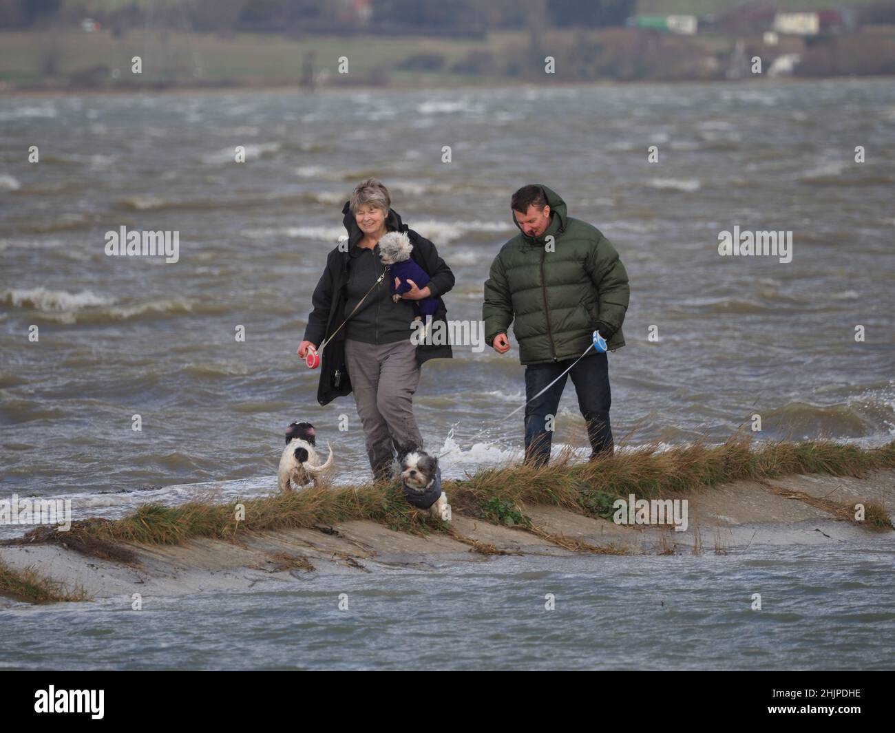 Medway, Kent, UK. 31st Jan, 2022. UK Weather: a surge tide caused high ...