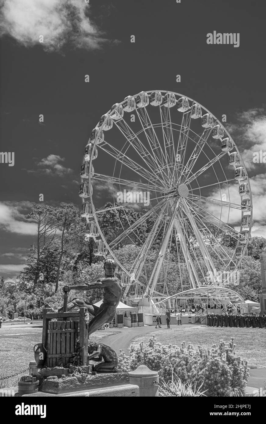 Grayscale of the Ferris Wheel in Golden Gate Park Stock Photo - Alamy