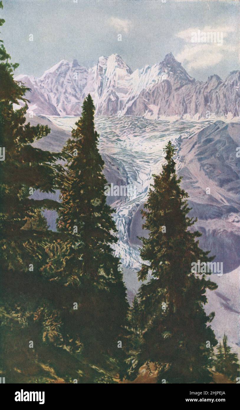 Grandeur of a glacier on the Chitral border with pine-clad slopes that ...