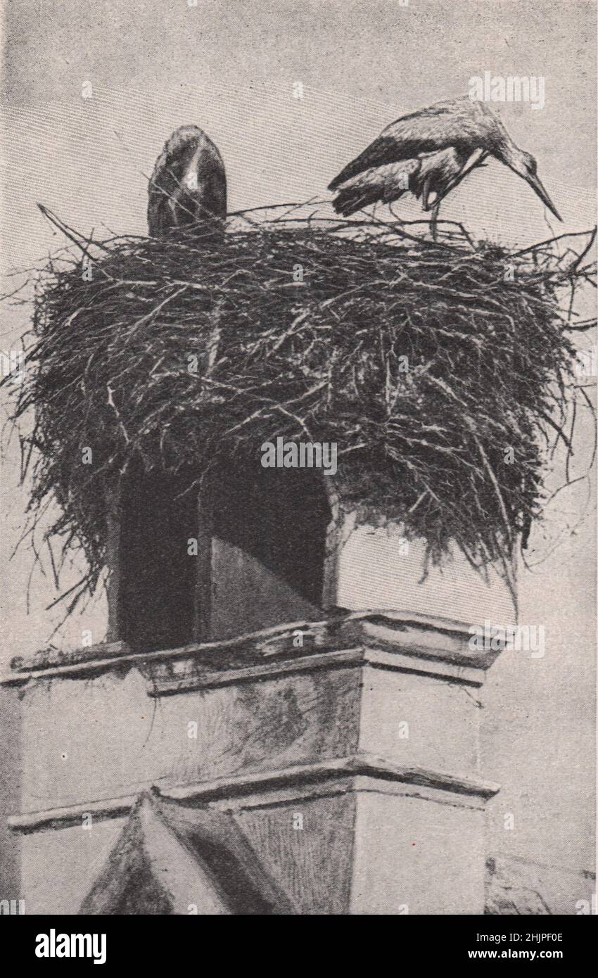 Welcome if Uninvited Guests. Alsace-Lorraine (1923 Stock Photo - Alamy