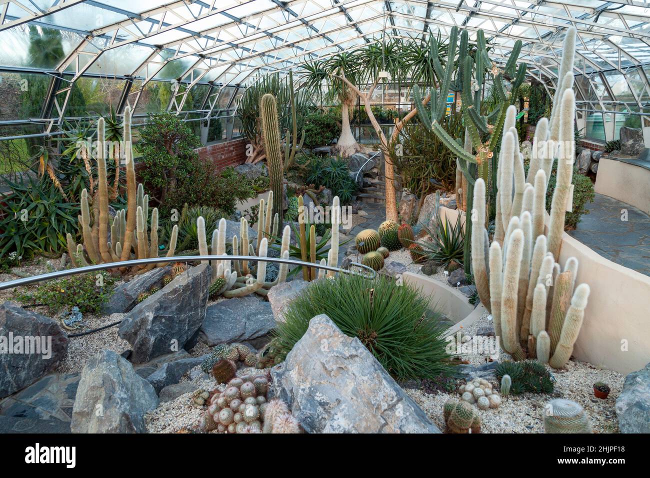 Inverness Botanic Gardens Cactus House, Inverness, Scotland Stock Photo ...