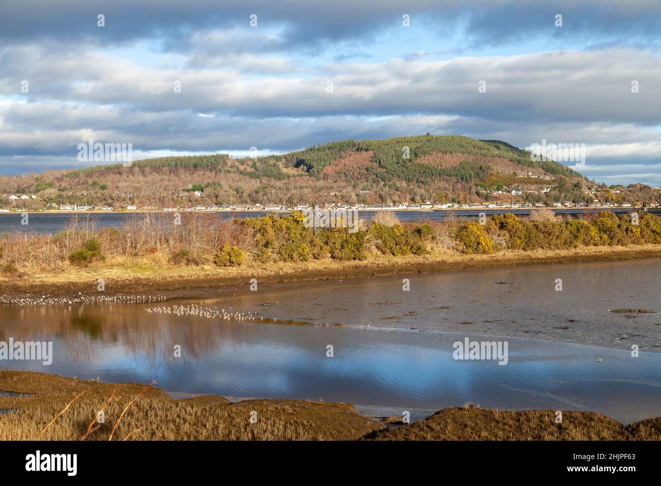Merkinch nature reserve hi-res stock photography and images - Alamy
