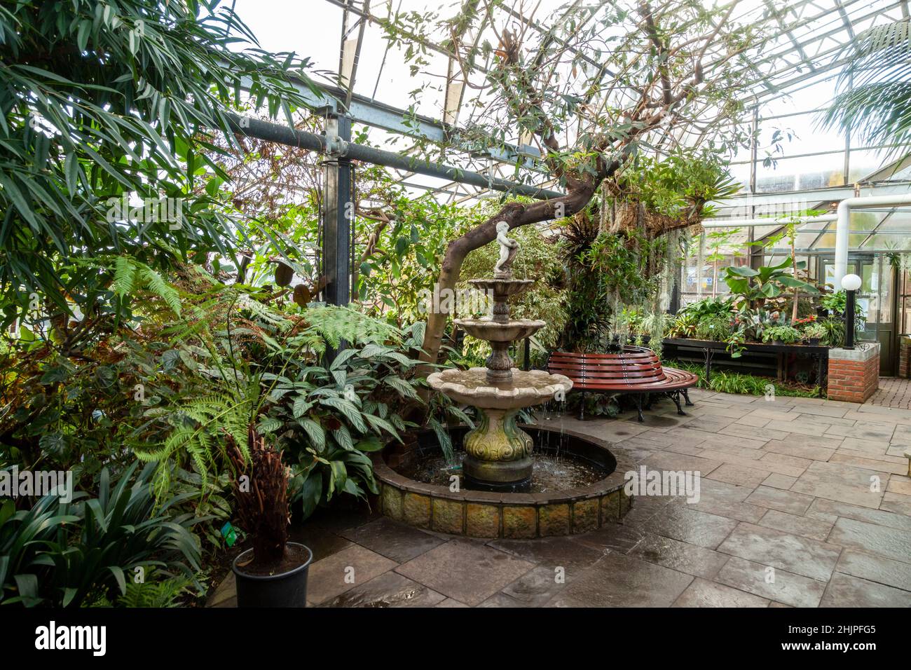 Inverness Botanic Gardens tropical house, Inverness, Scotland Stock ...