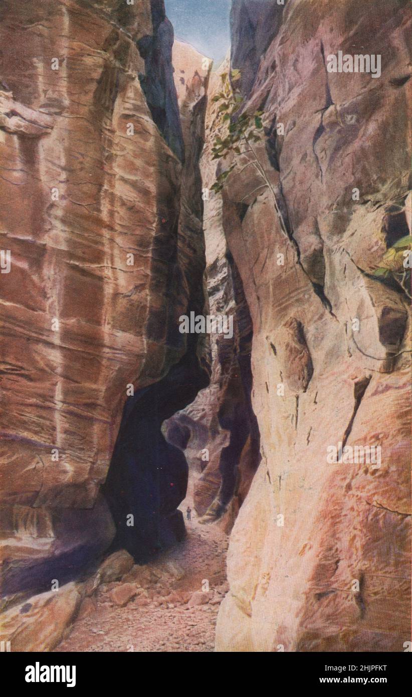 On an ancient trade route between Palestine and Arabia in this gorge ...