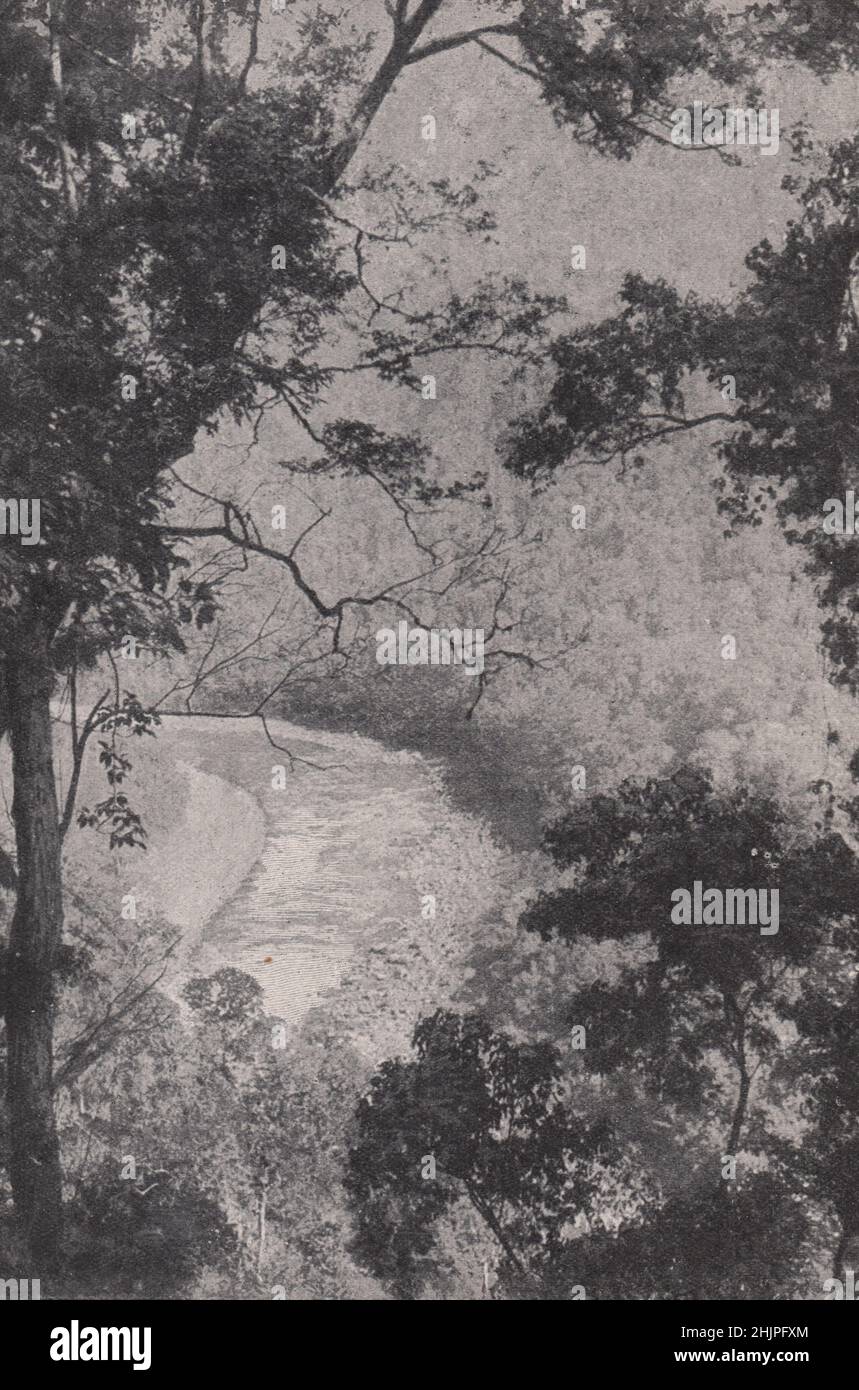 View of the upper Lohit, an affluent of the Brahmaputra. India. Assam ...