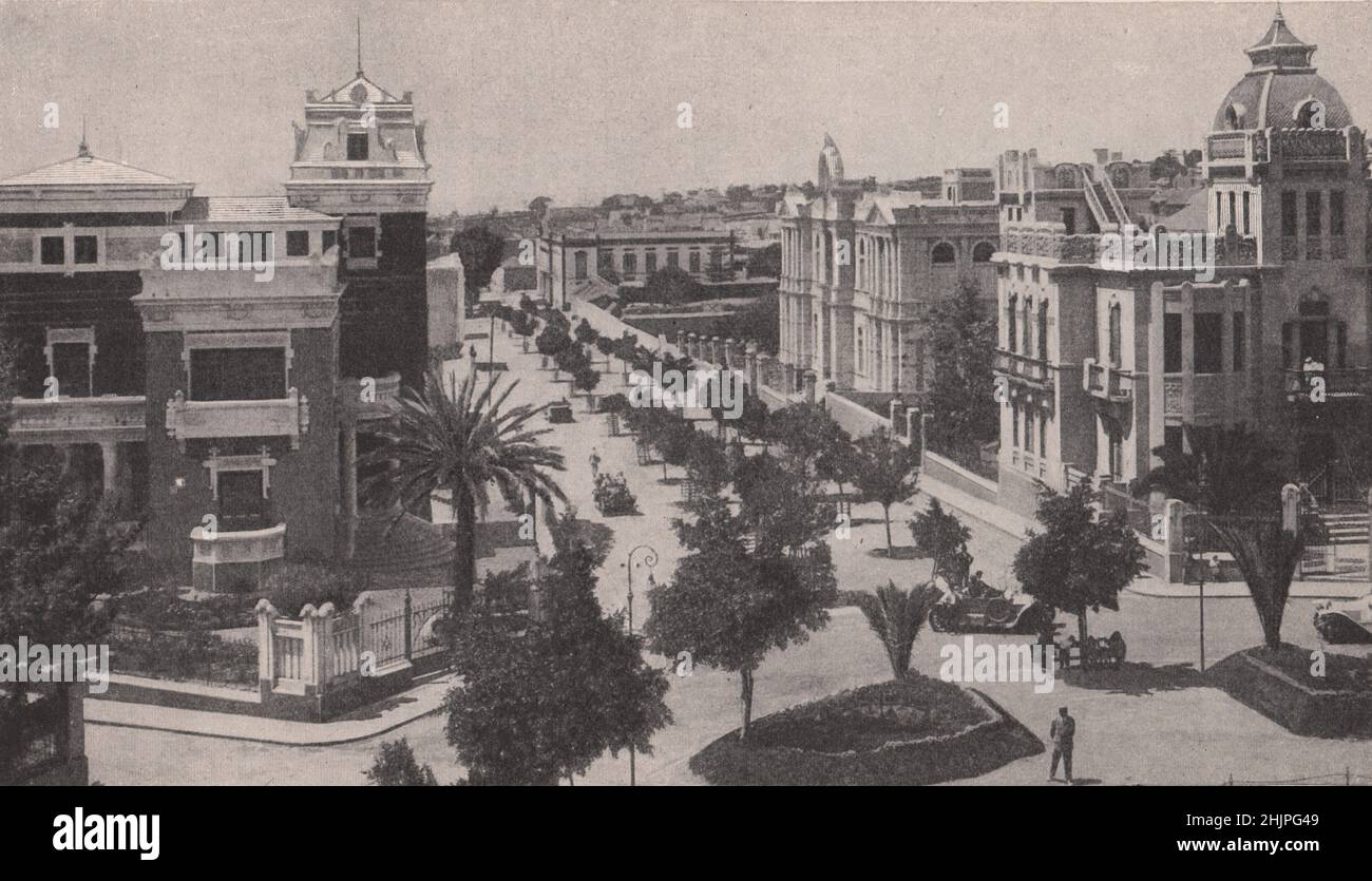 Avenida 25 de Julio, Principal street in Santa Cruz, Tenerife, Capital ...