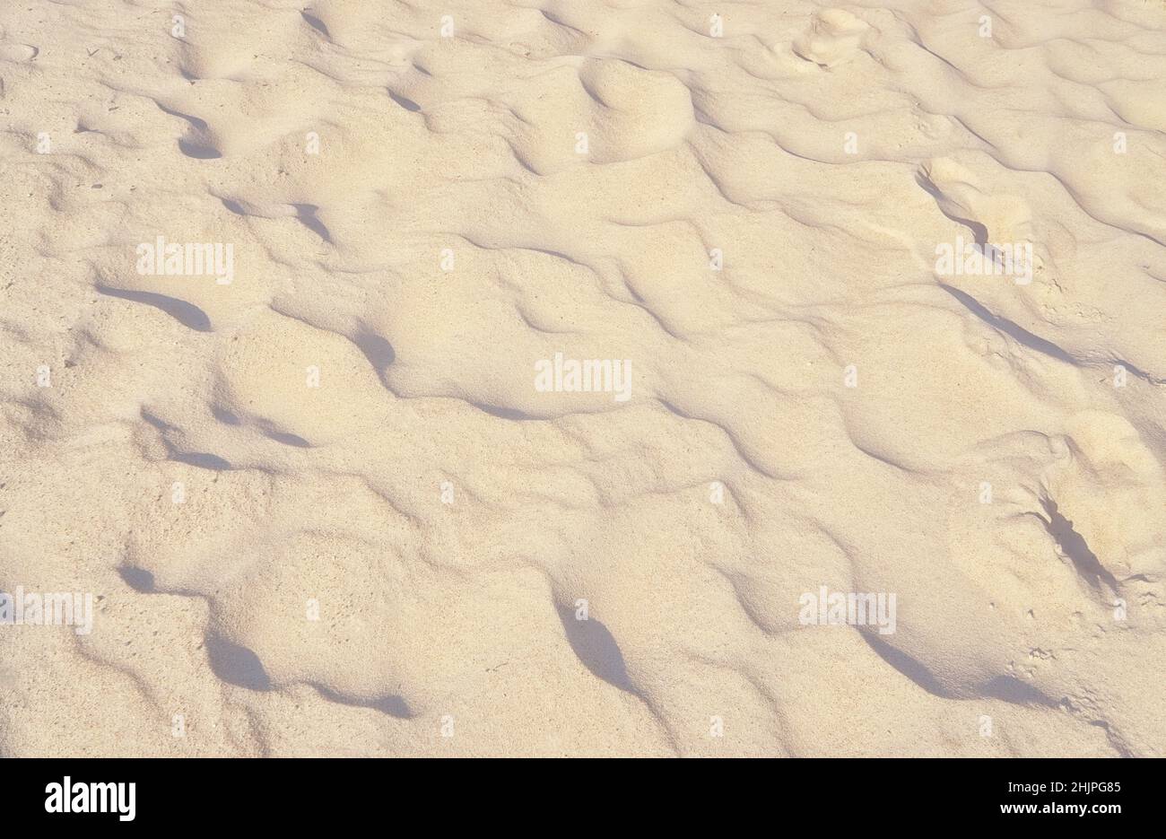 Sand texture on the beach in summer close up. Full screen as background ...