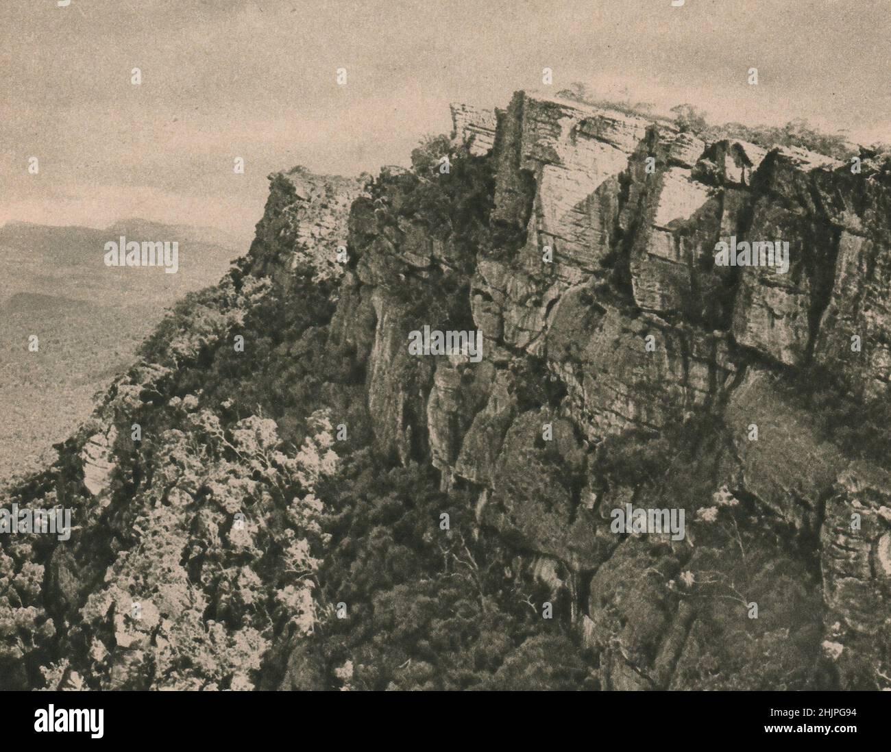 Mt. William, 4,500 feet high, is the loftiest pinnacle of the Grampians ...