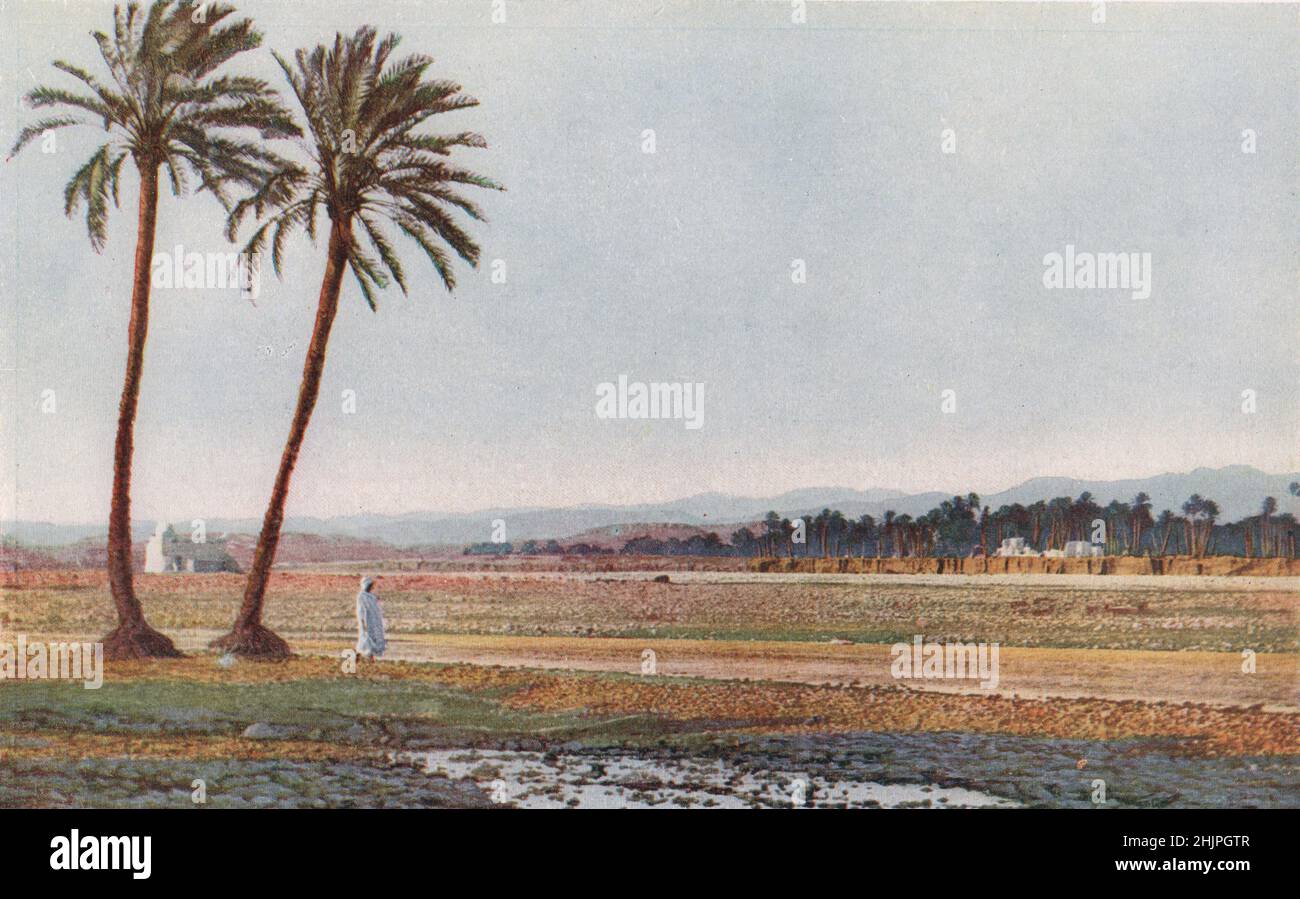 Tunisia gafsa oasis hi-res stock photography and images - Alamy