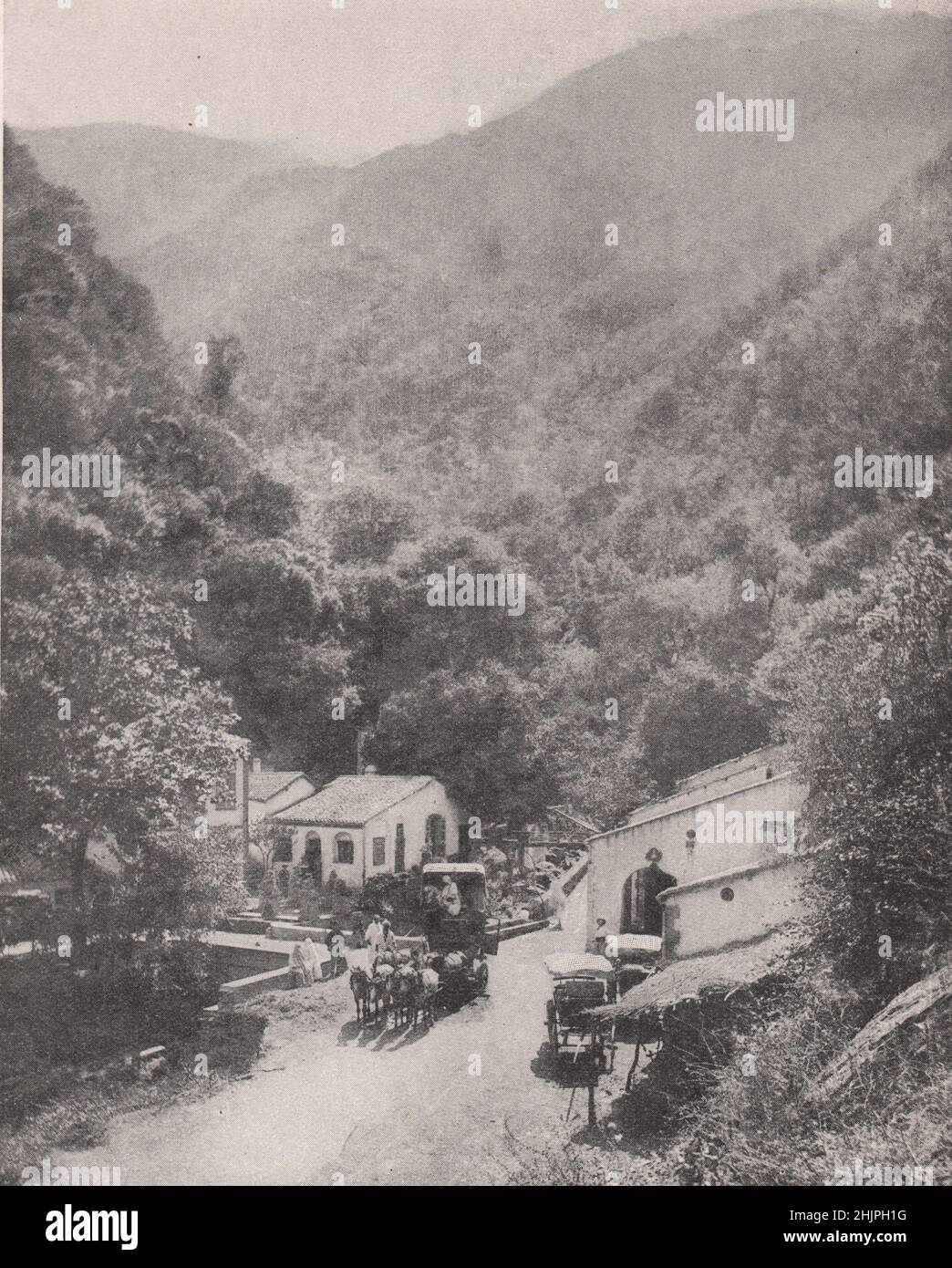 Ape-infested Gorge of the Chiffa near Blida. Algeria. Barbary States ...