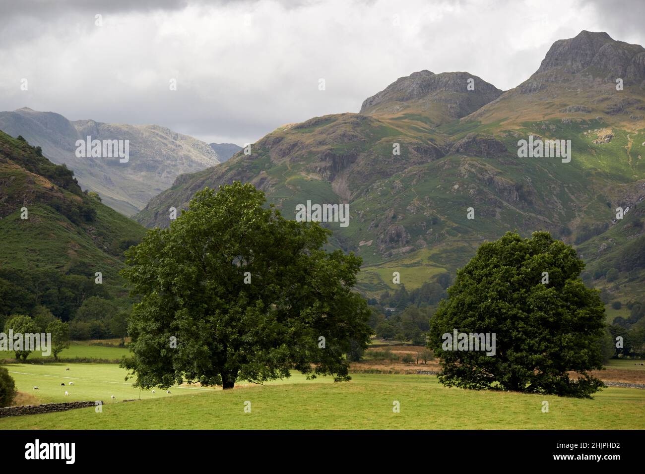 langdale valley, lake district, cumbria, england, uk Stock Photo - Alamy