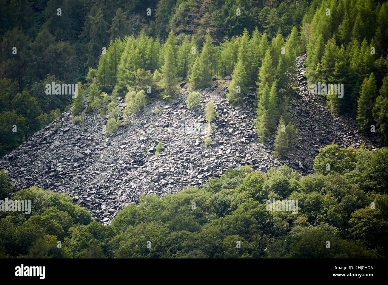 slate spoil heaps from previous slate mine langdale valley, lake ...