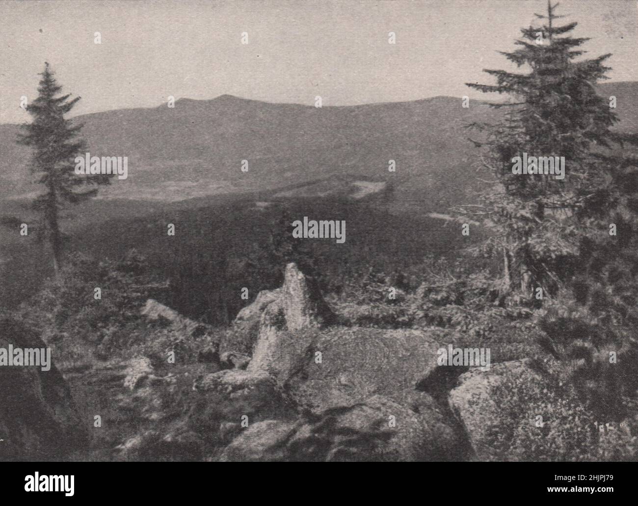 Broad and beauteous landscape of the Sumava forest. Czech Republic ...