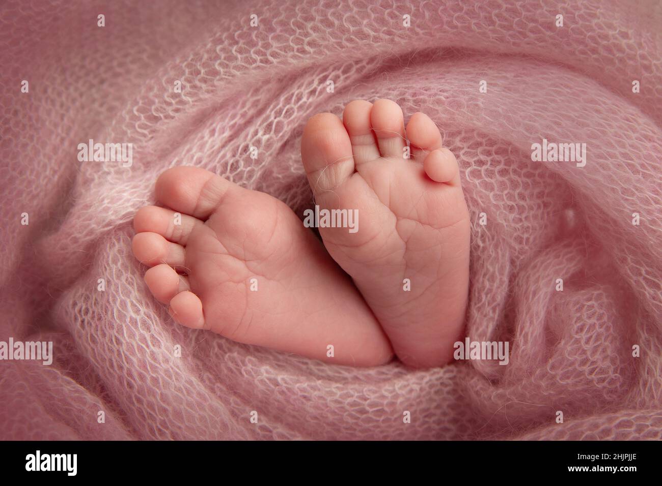 The tiny foot of a newborn. Soft feet of a newborn in a pink woolen ...