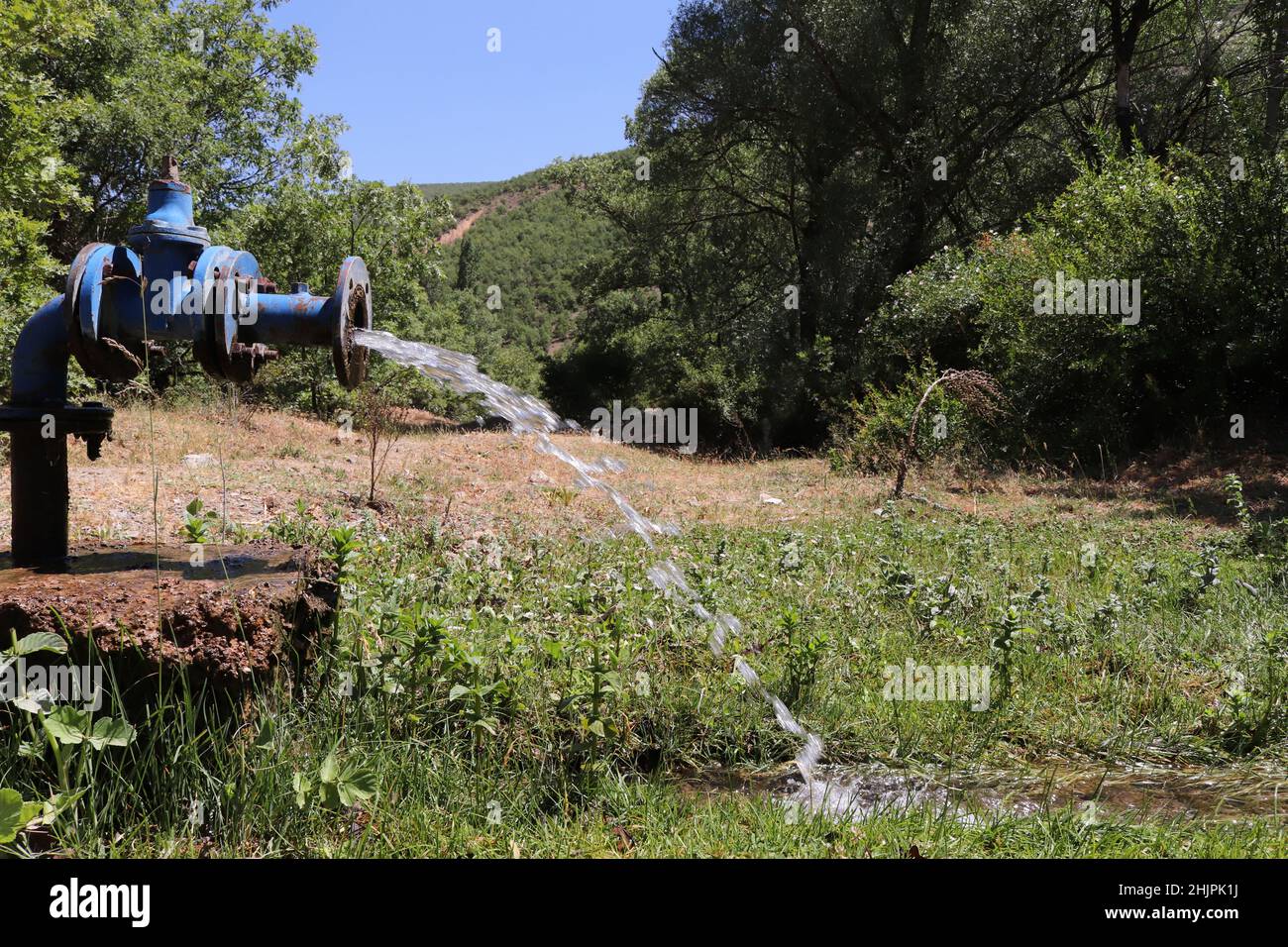 land irrigation with water engine Stock Photo - Alamy