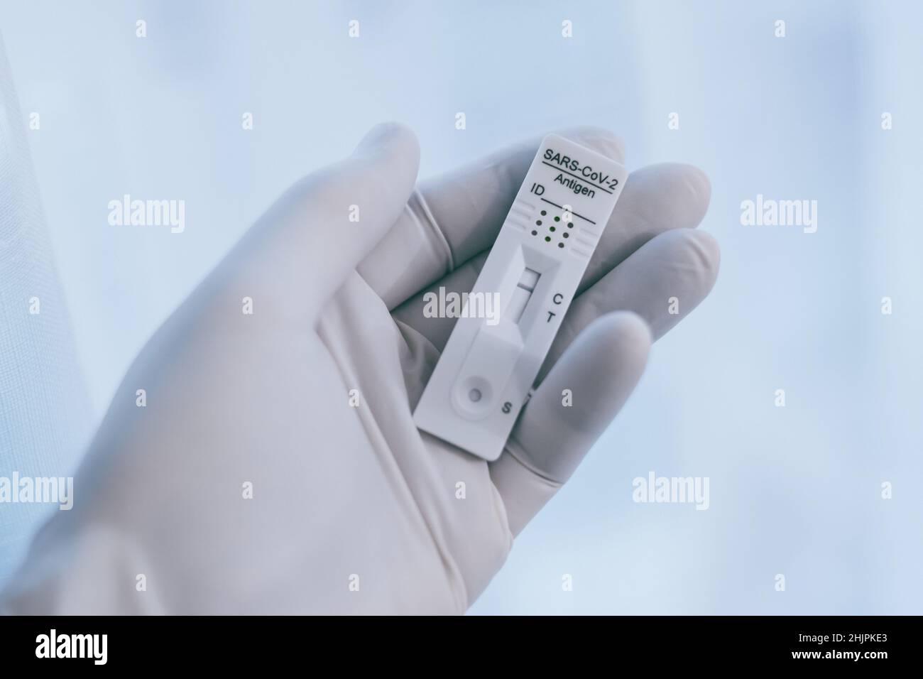 Closeup view of gloved hand with SARS-CoV-2 rapid antigen test nasal ...