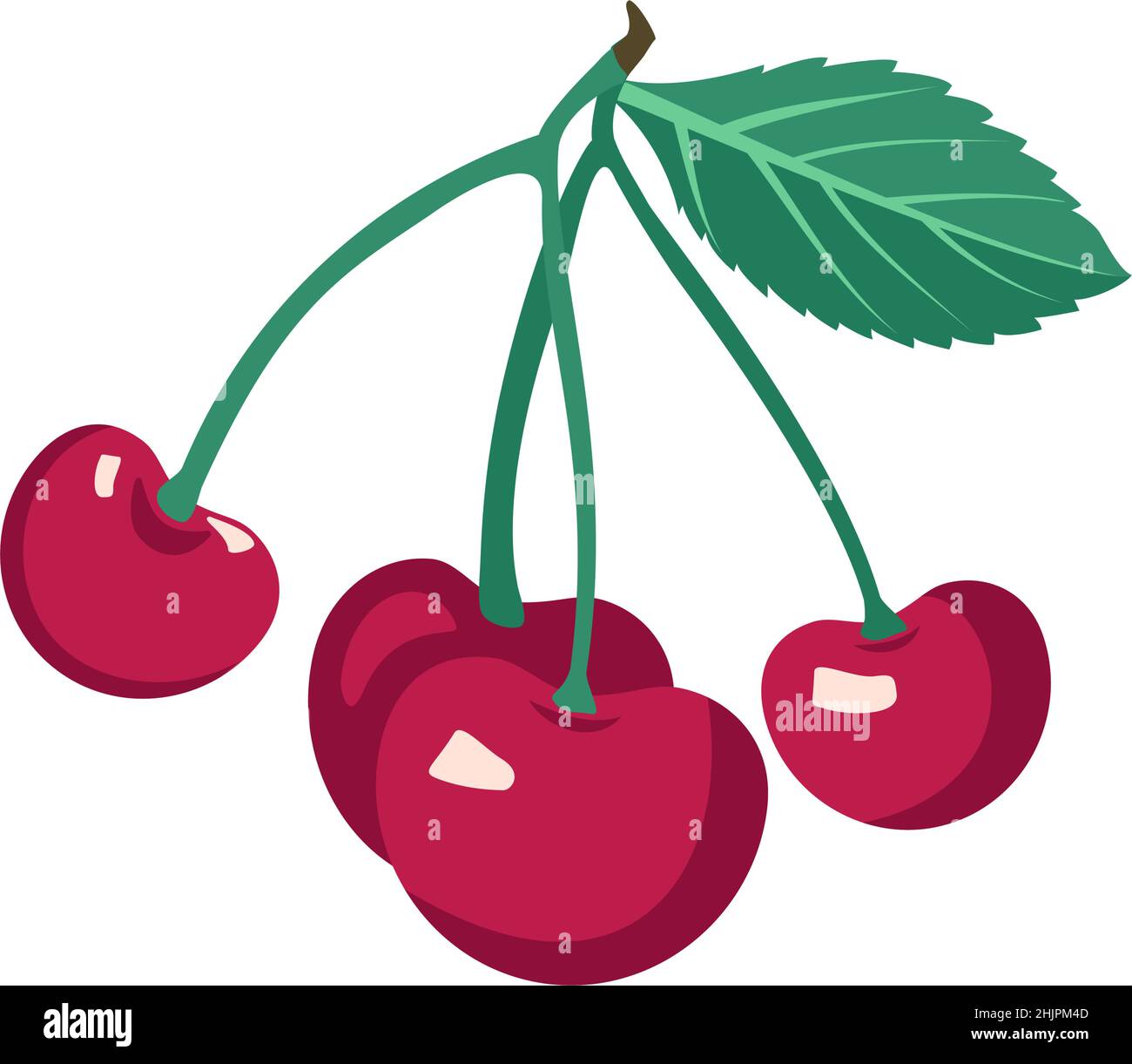 Cherry icon on branch. Bright modern berry with leaves. Vector flat ...