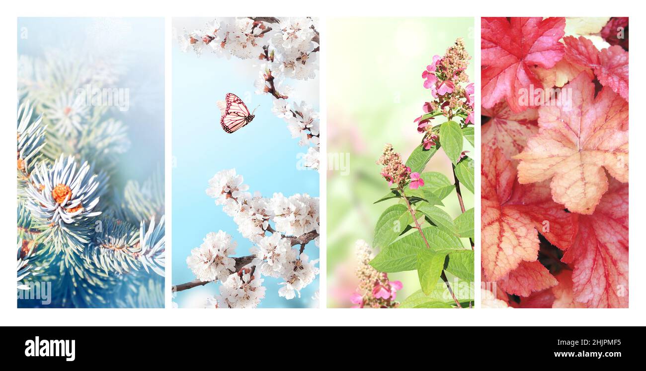 Four seasons of year. Set of vertical nature banners with winter ...