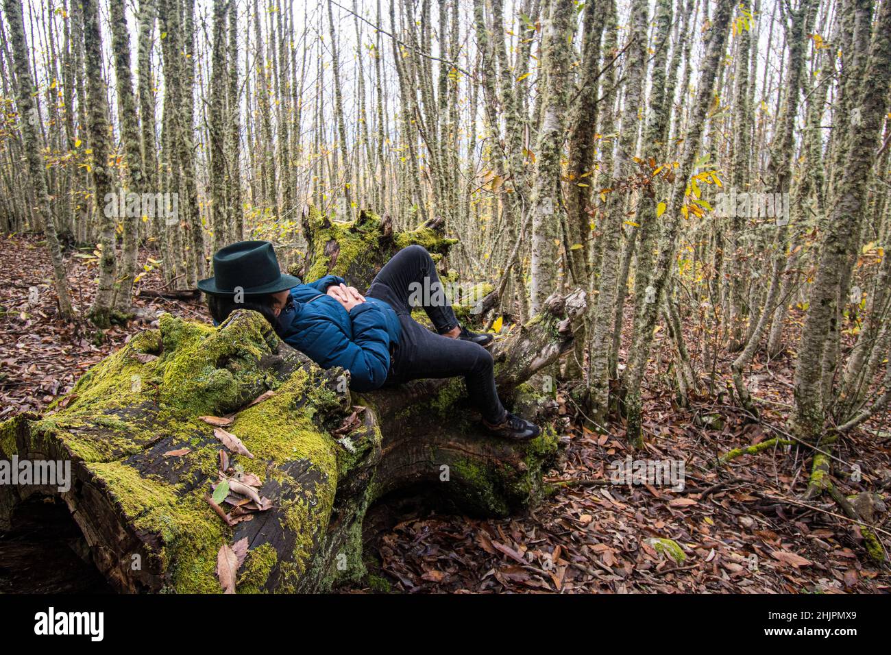 Man Relaxing In Nature