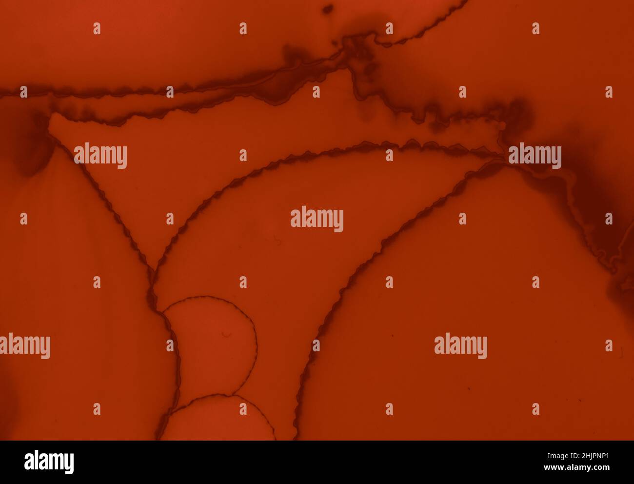 Blood Splatter Red. Abstract Valentine Stock Photo - Alamy
