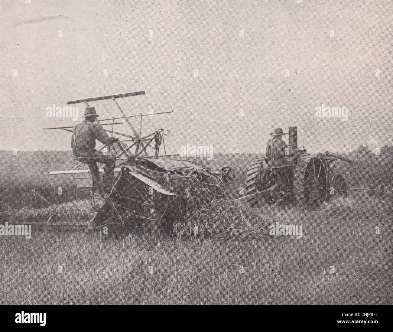 Modern Mechanical Reaper