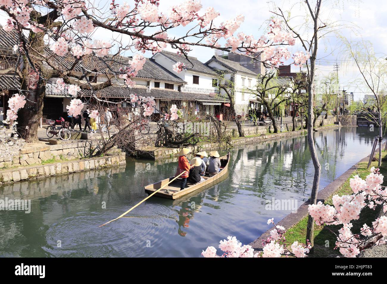 People in old-fashioned boat and sakura flowers, Kurashiki canal in ...