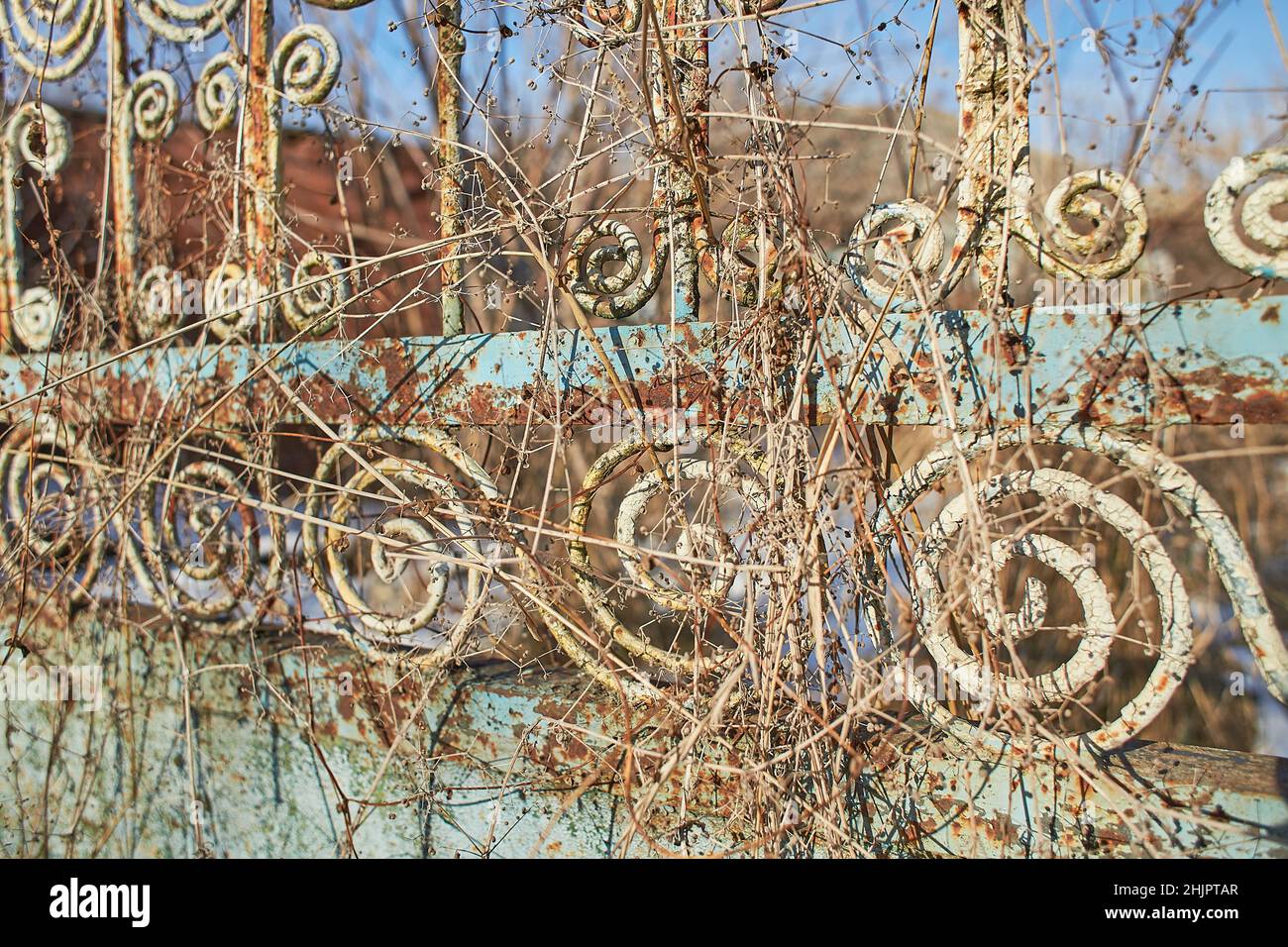 Pattern, design of old gate from abandoned house in village on natural ...
