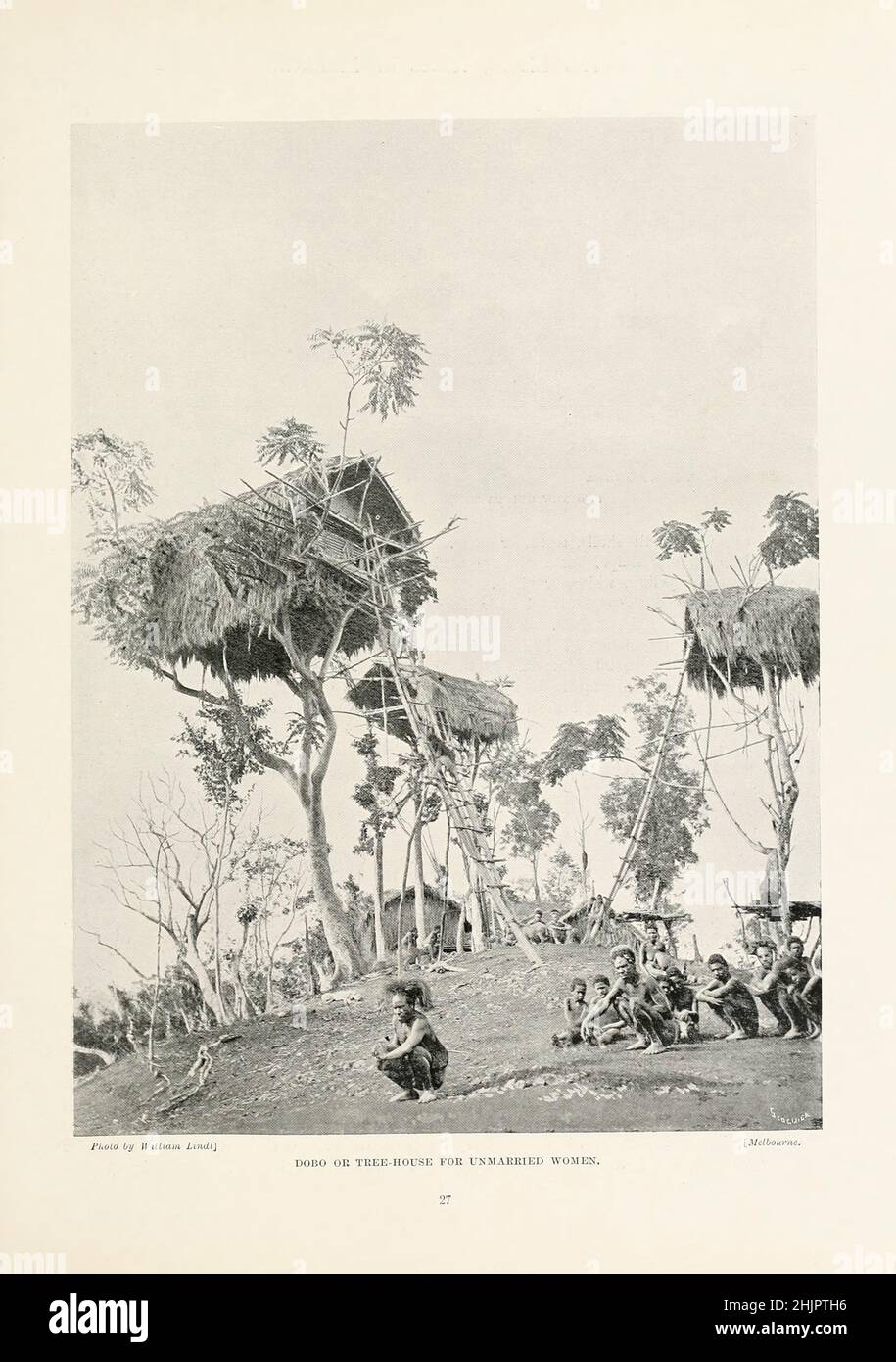 Dobo, or tree-house for unmarried woman from the book ' The living ...