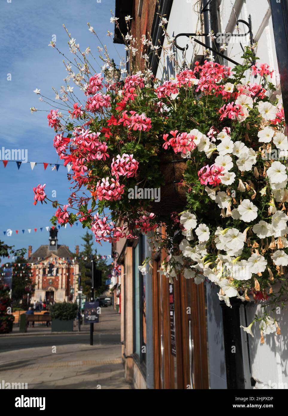 Hanging basket of flowers outside The Catherine Wheel Hotel, Henley-on ...