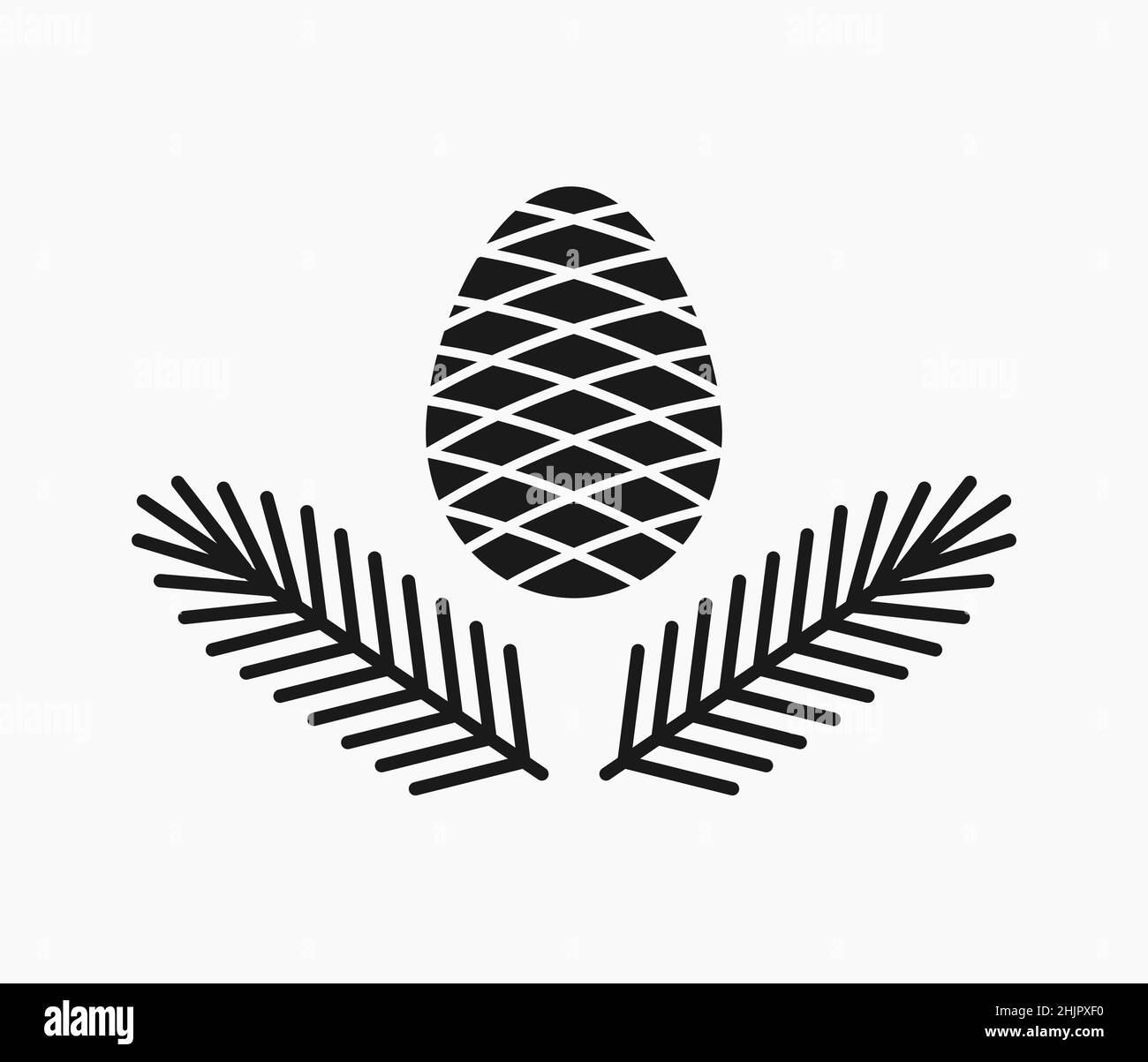 Conifer branches Black and White Stock Photos & Images - Alamy