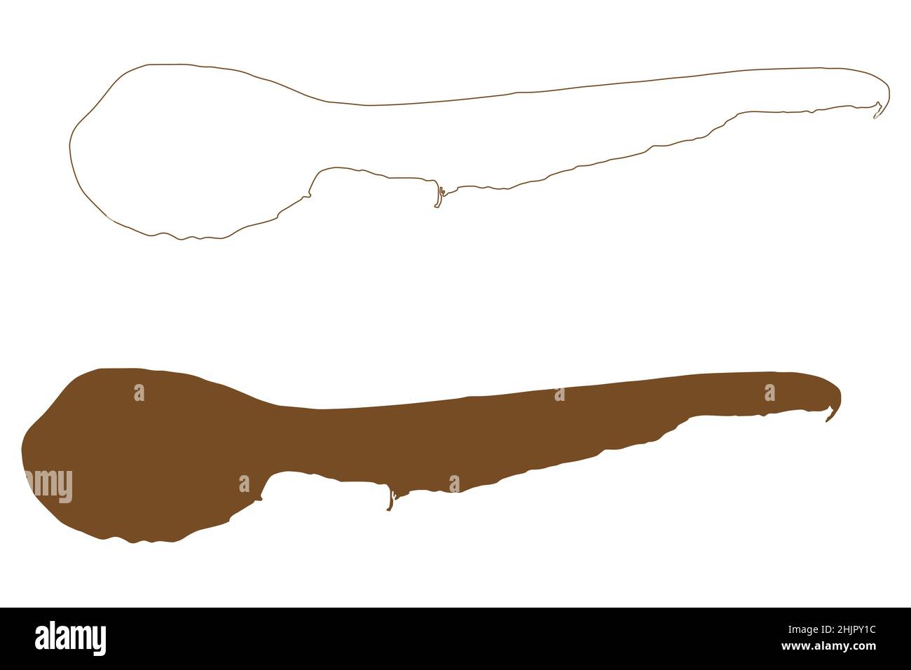 Ameland island (Kingdom of Netherlands, West Frisian Islands) map ...