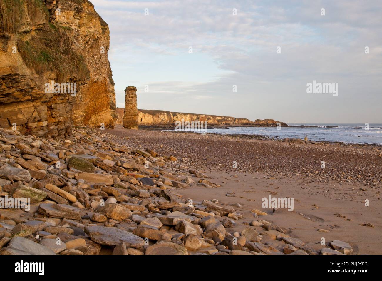 Shields surround hi-res stock photography and images - Alamy