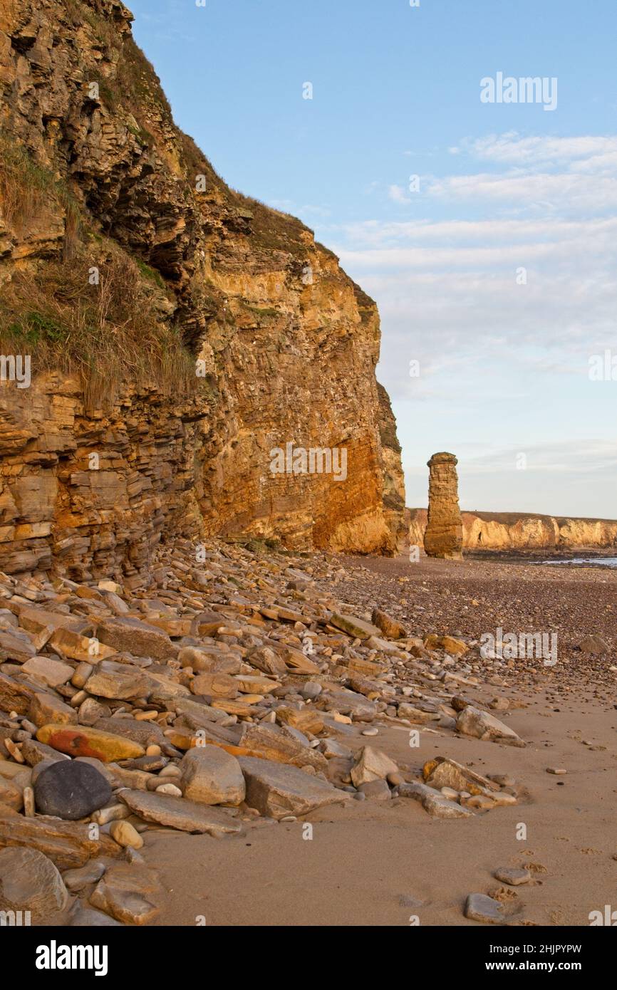 Beautiful limestone cliffs surround Marsden Bay on the North Sea coast ...