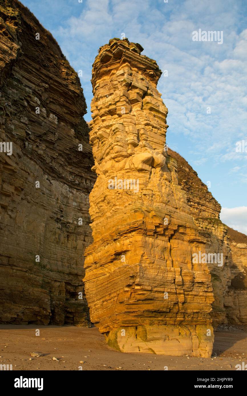 A limestone sea stack stands on the North Sea coast at Marsden Bay near ...