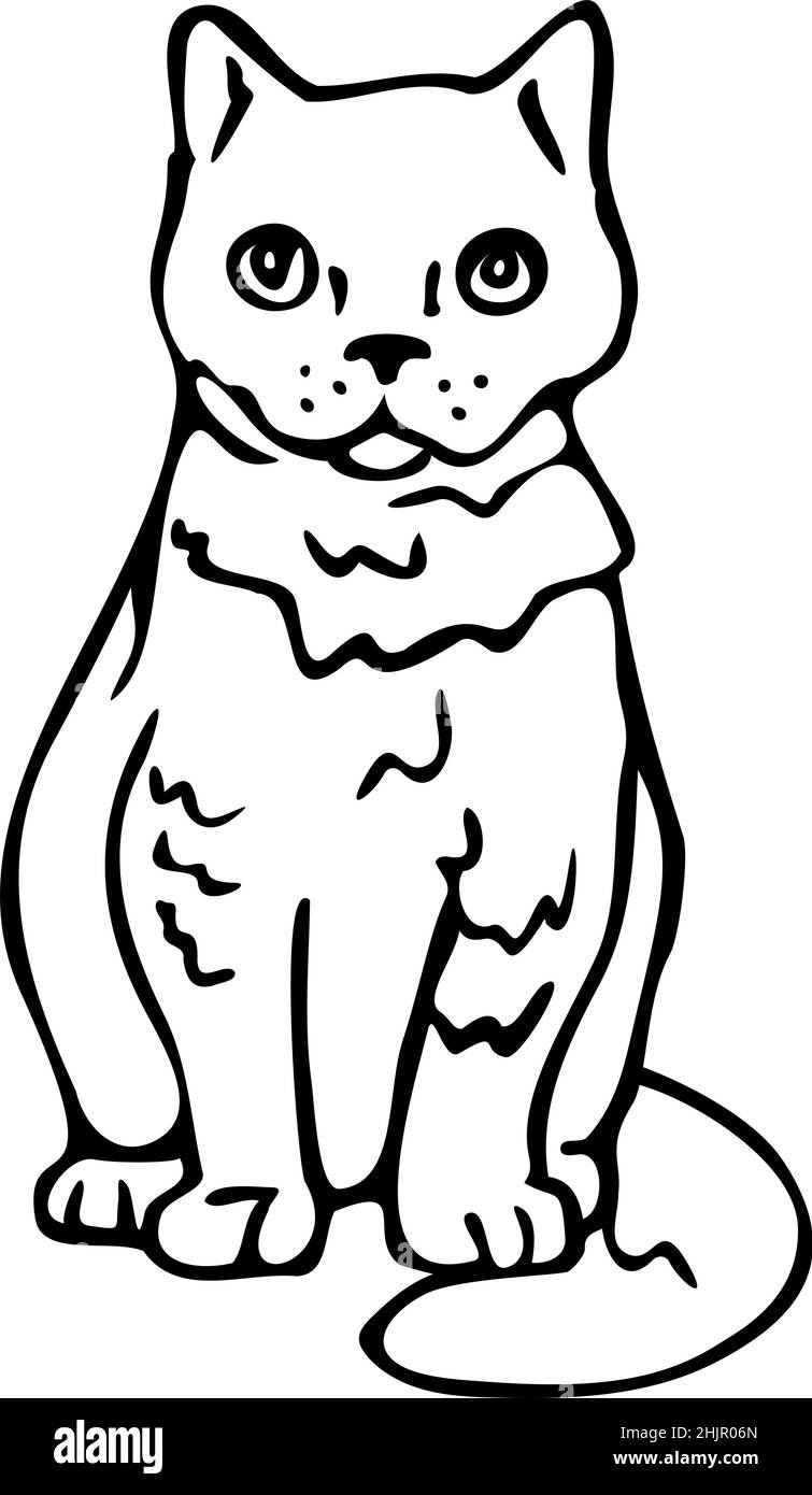 Vector illustration of black and white cat. Isolated cat Stock Vector ...