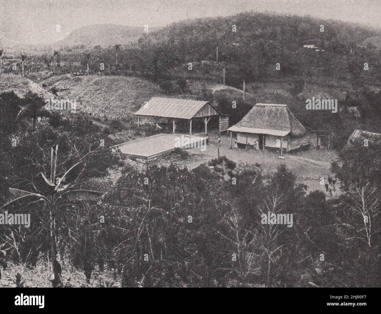 Coffee-Raising centre in the province of Oriente. Cuba (1923 Stock ...