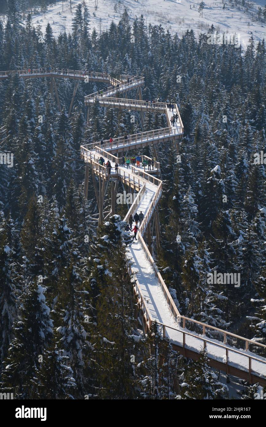 The treetop walk Bachledka in Bachledova valley in Slovakia. Scenic ...