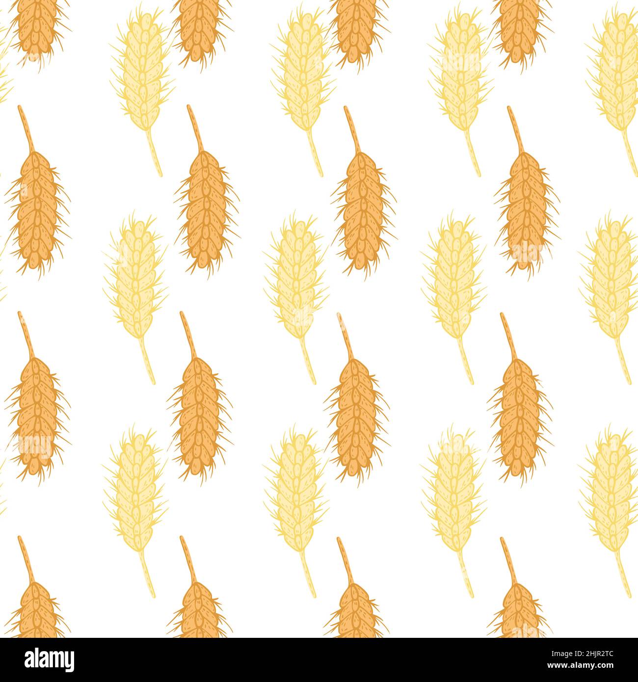 Wheat seamless pattern. Cereal crop sketch. Repeated texture in doodle ...