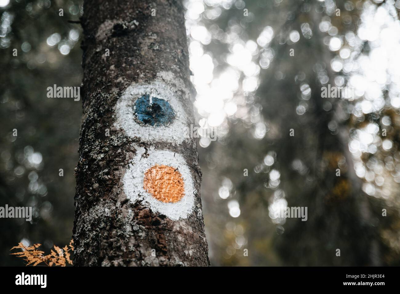 European trail marking on a tree Stock Photo - Alamy