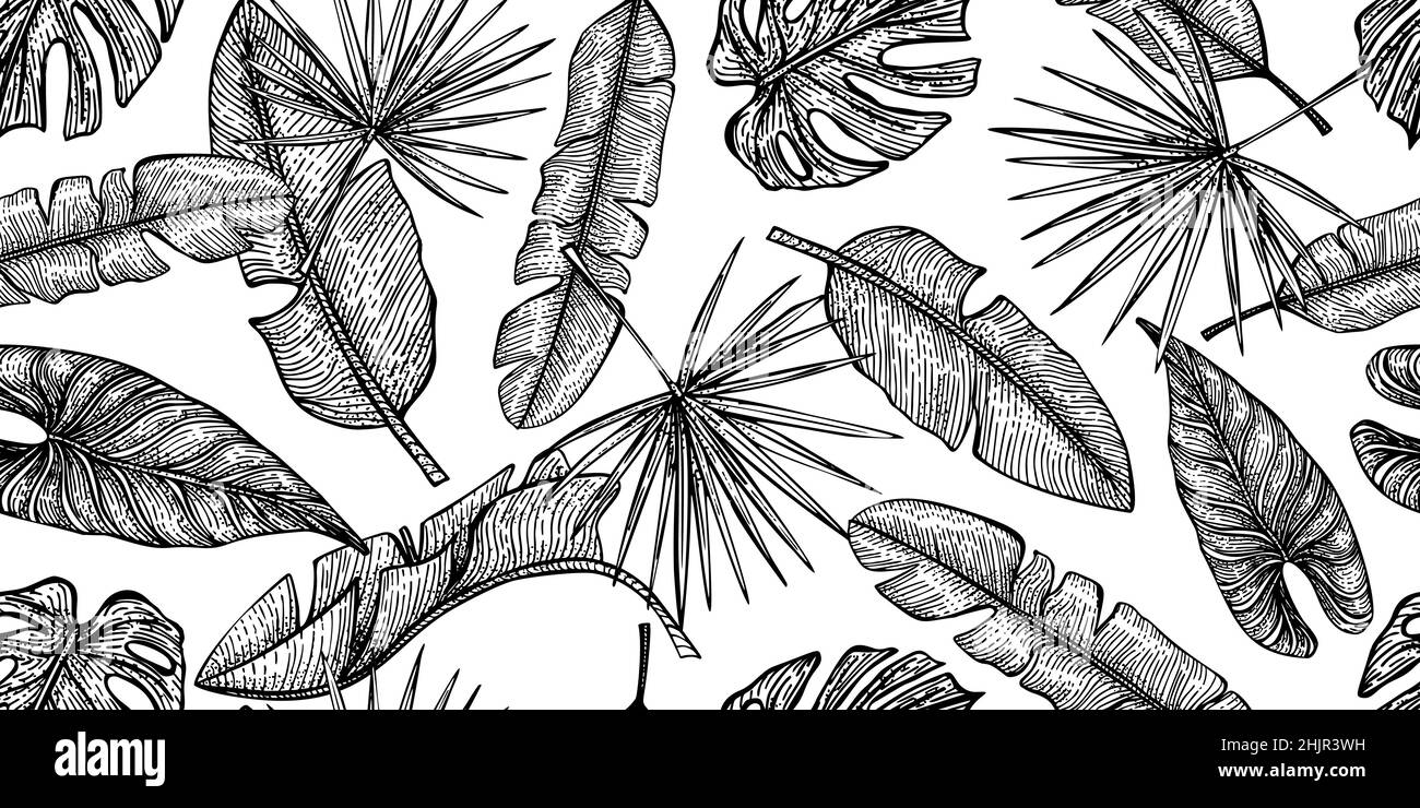 Rainforest Paper Template Laser Cut Paper Template Diy Scrapbooking