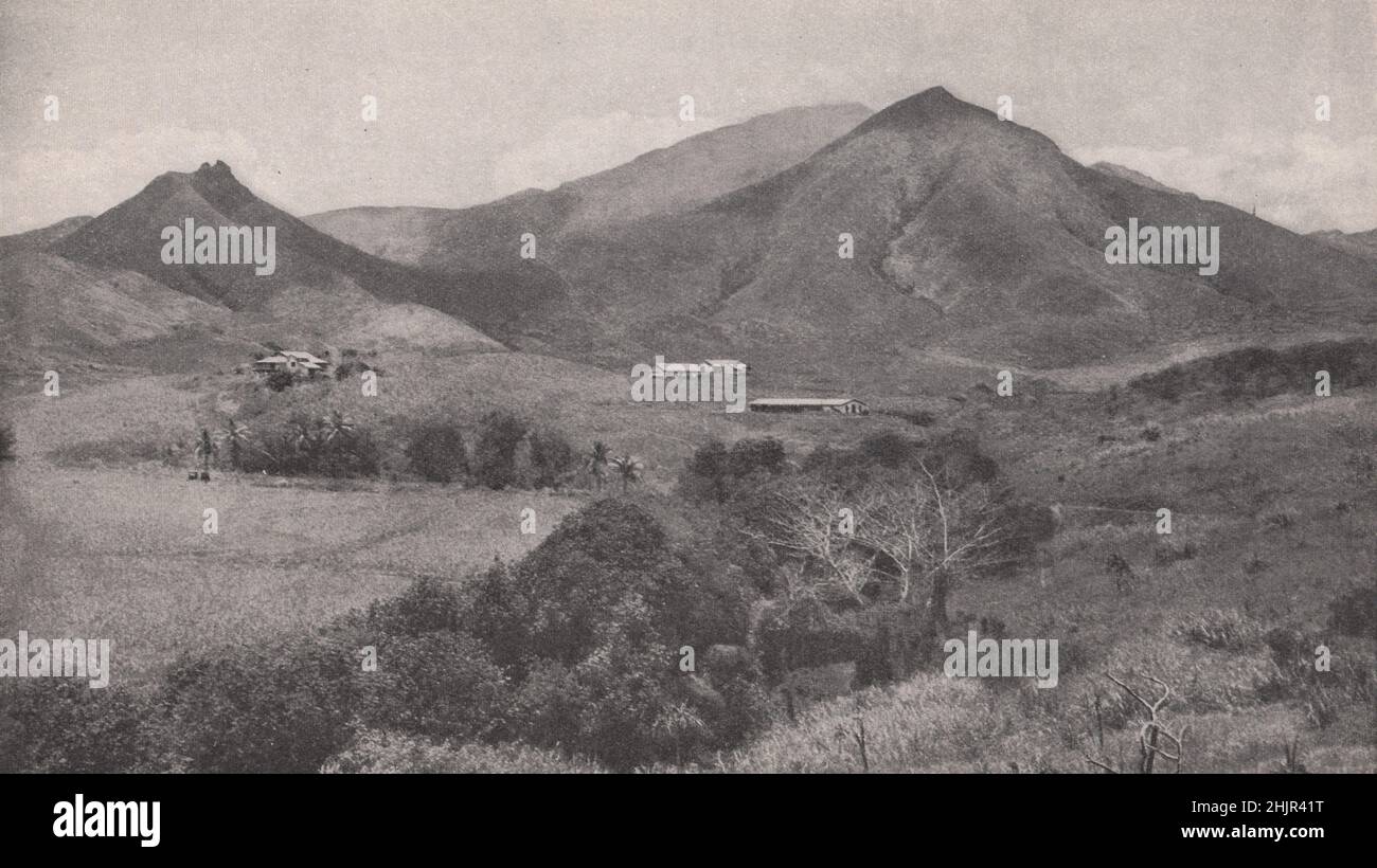 Sugar plantation on a hill estate near the Tavua river on the Island of ...