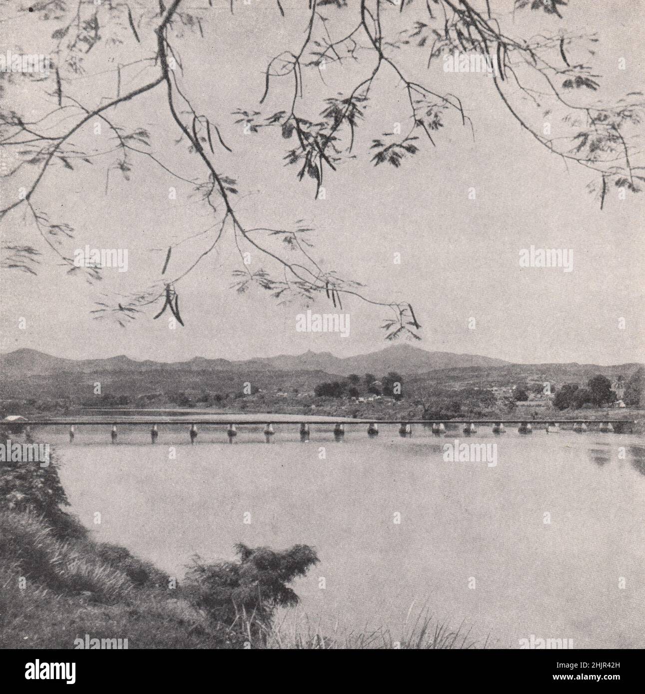 Where a sugar company's railway bridge spans the Ba. Fiji Islands (1923 ...