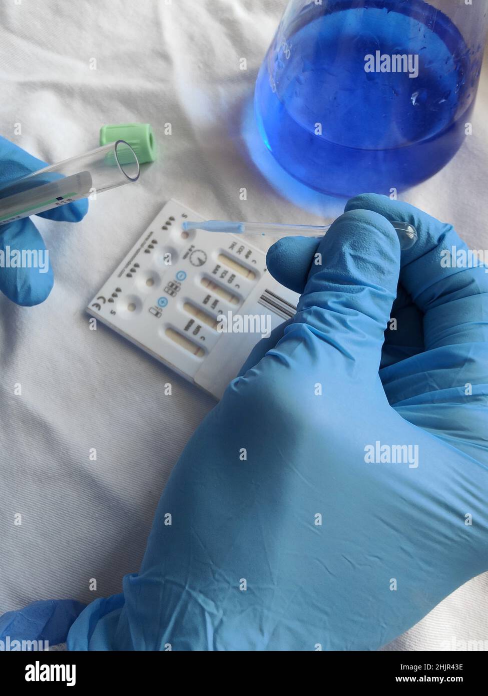 Biochemist preparing a sample in the laboratory Stock Photo - Alamy