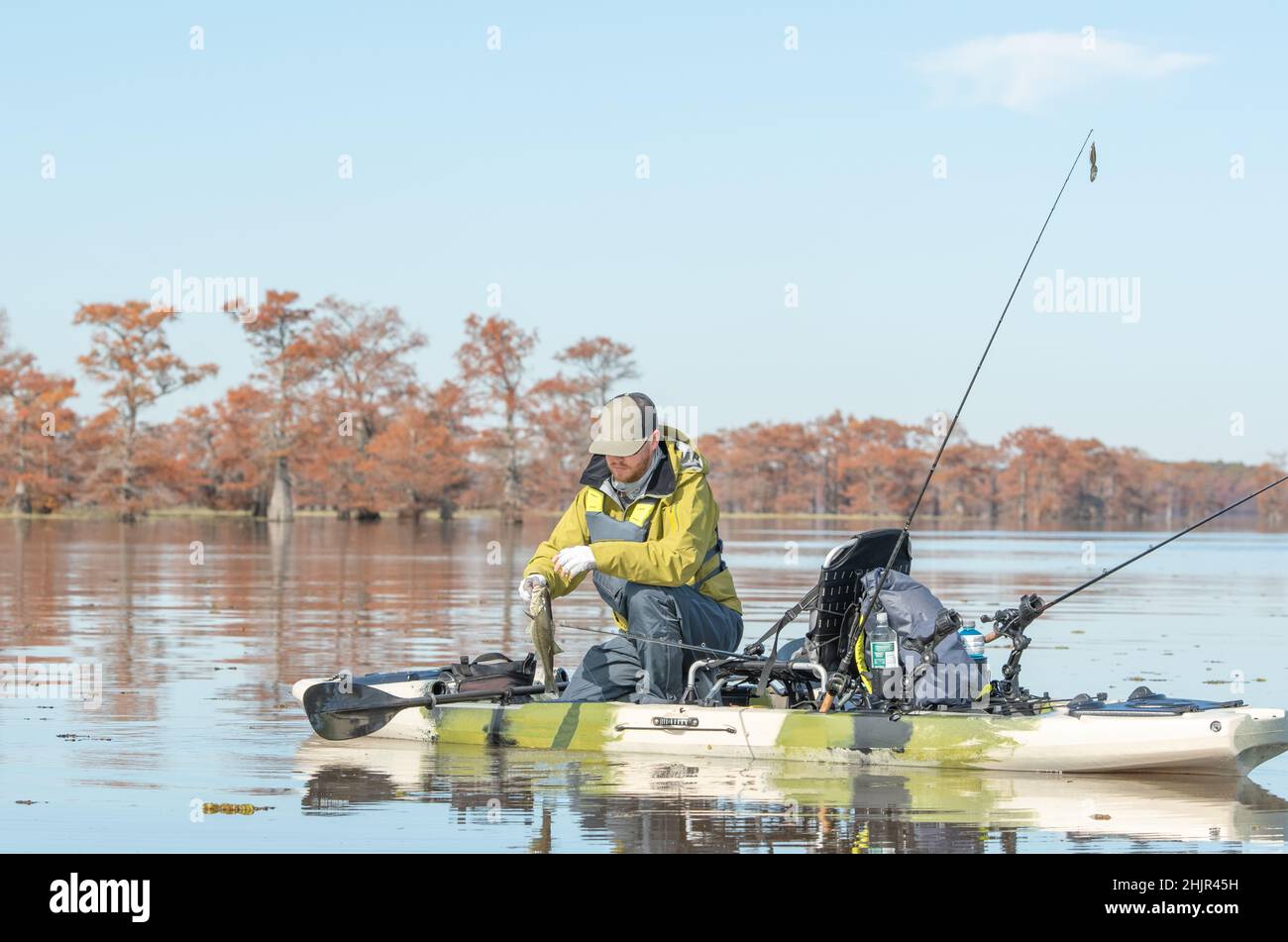 man catching largemouth bass from kayak Stock Photo - Alamy
