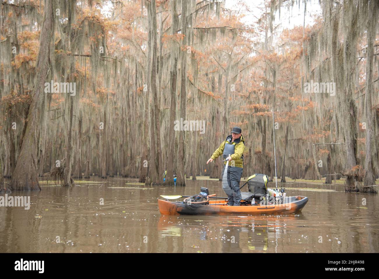 man making cast in cypress forest Stock Photo - Alamy
